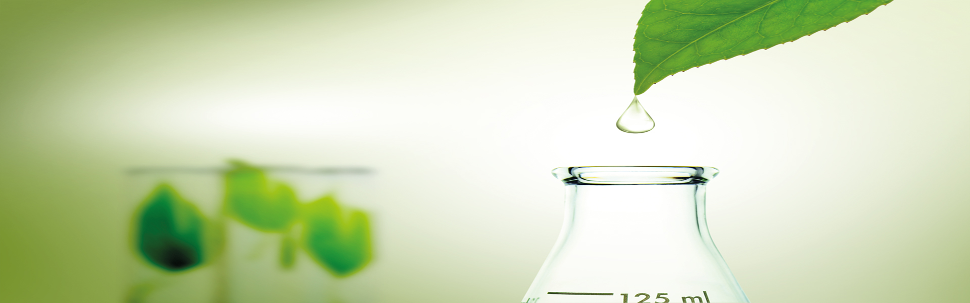 Laboratoire Phytotech